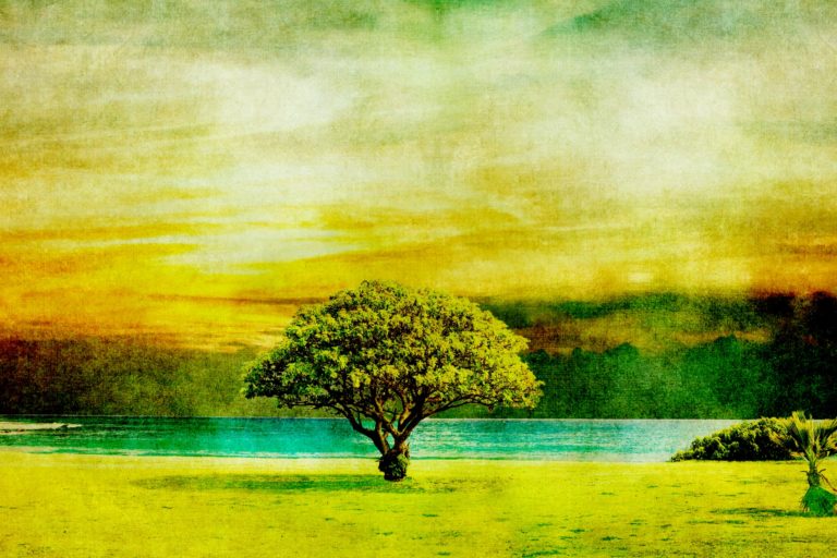 tree-vintage-sunset-painting | Trees Direct