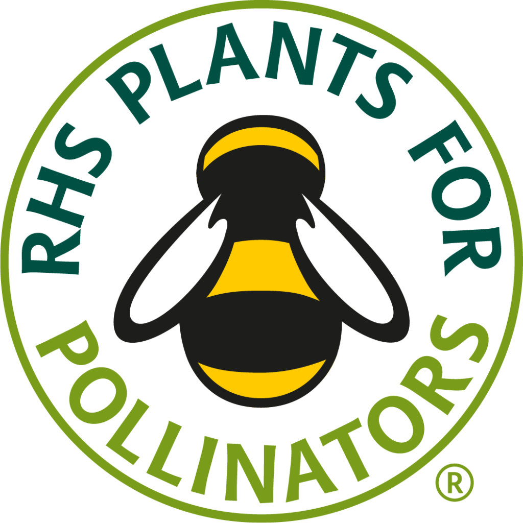 Pandora Flowering Cherry Trees For Sale | Trees Direct